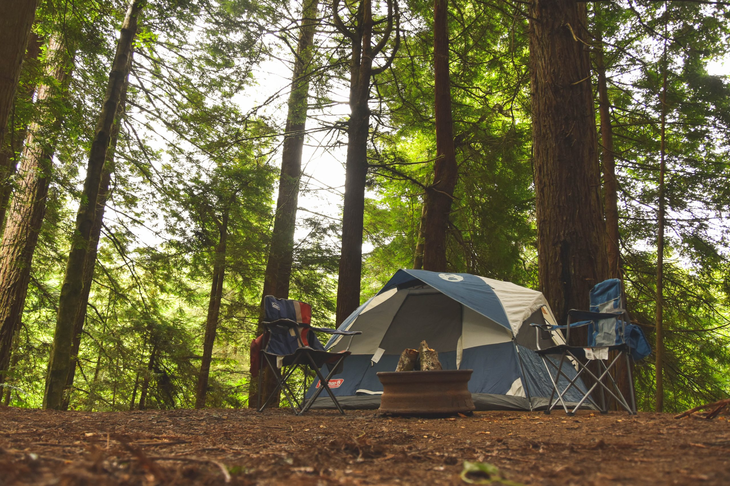 Guest Tracker Software Highlights - Guest Tracker